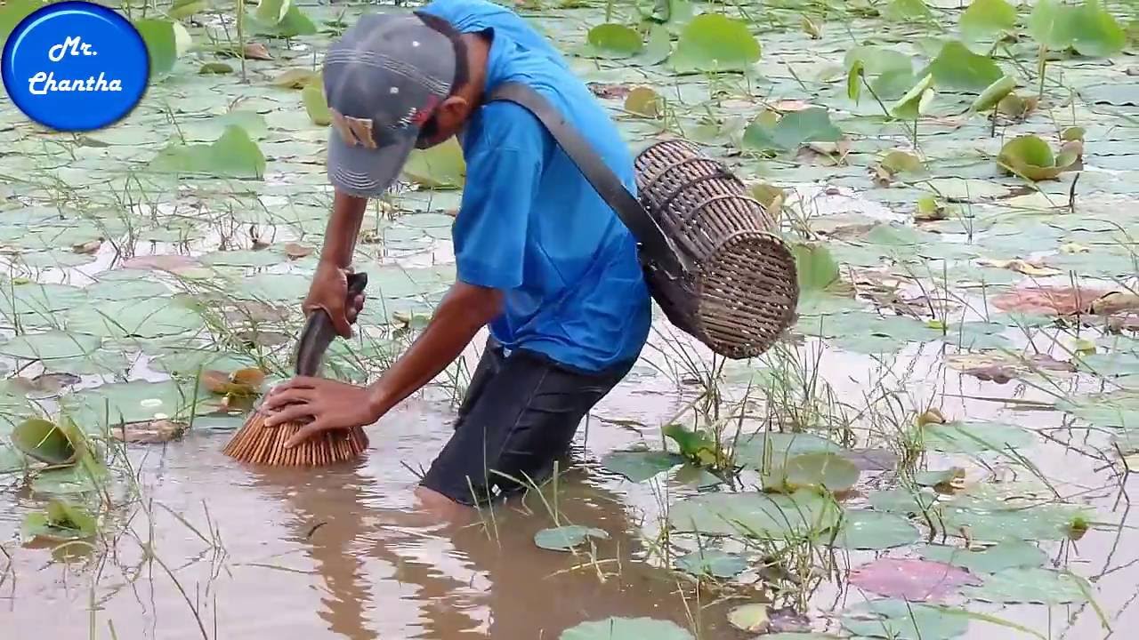 How to catch fish by hand | Catching fishes part 04 - YouTube