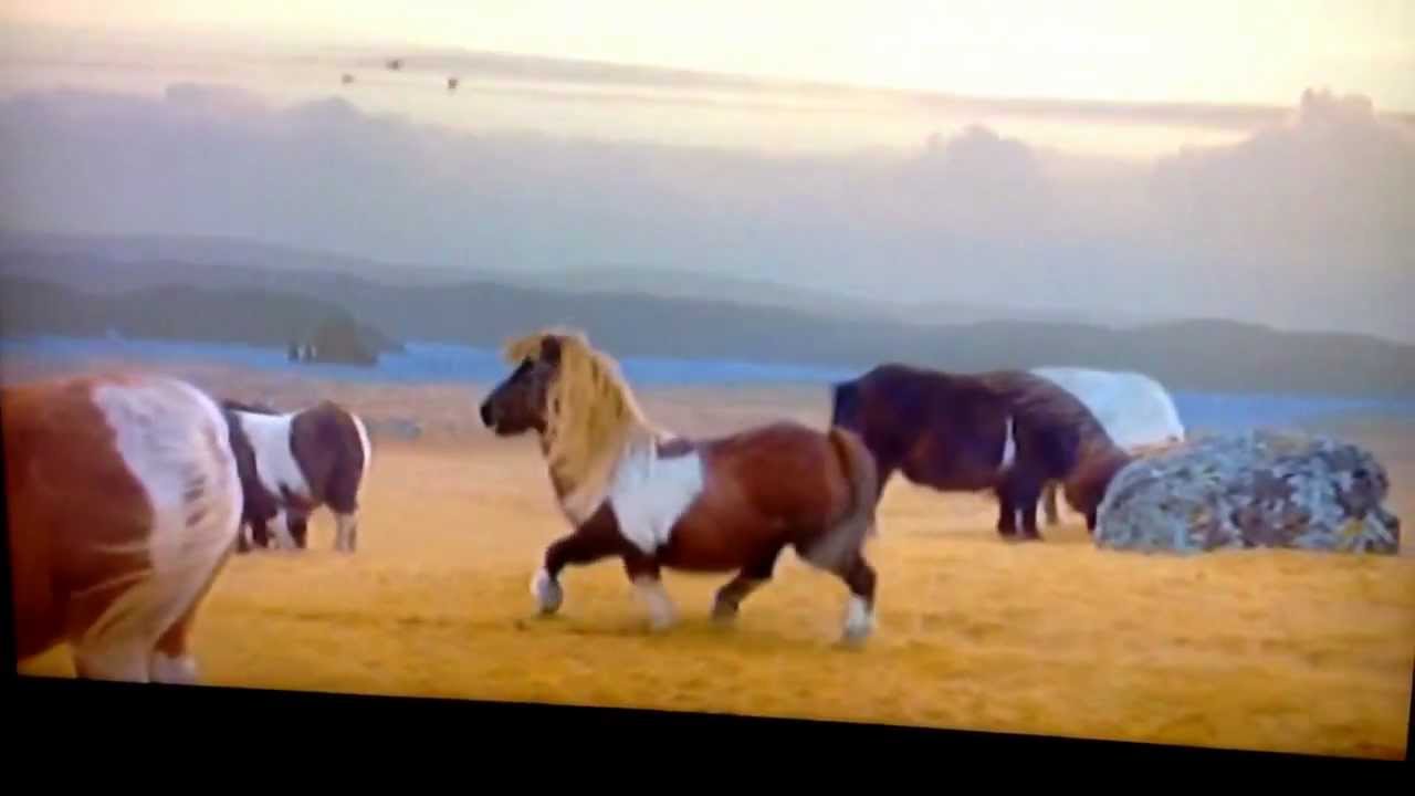 3G horse advert - YouTube