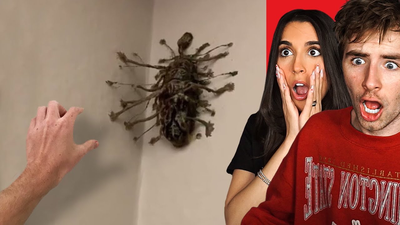 why did i squeeze this BUG.. - YouTube