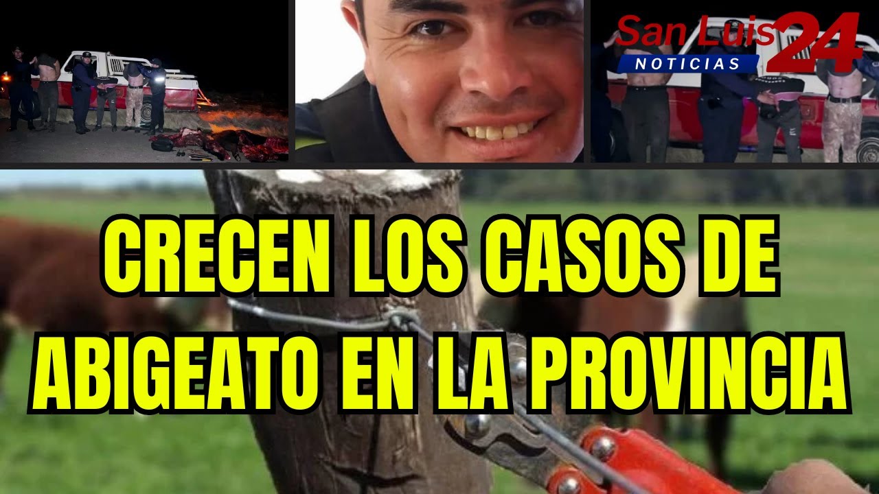Crecen los casos de abigeato en la Provincia - YouTube