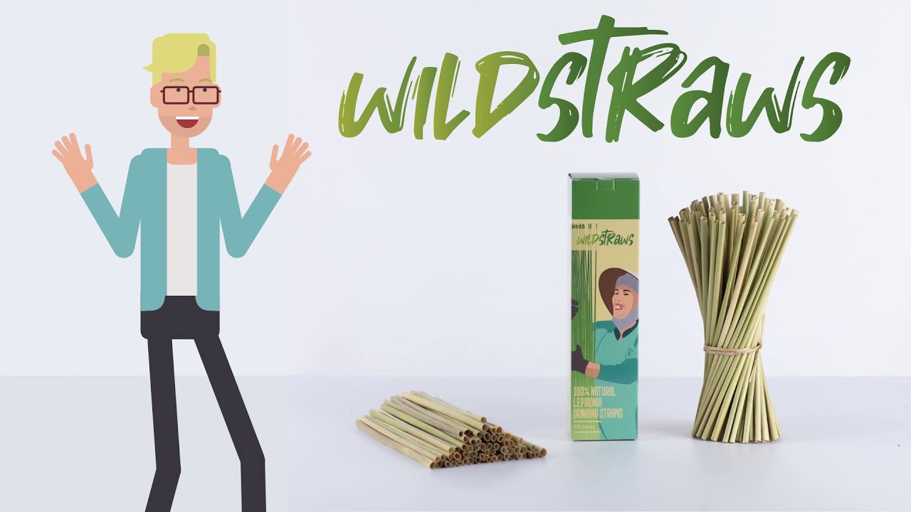 Environment Friendly Straw Animated video- - YouTube