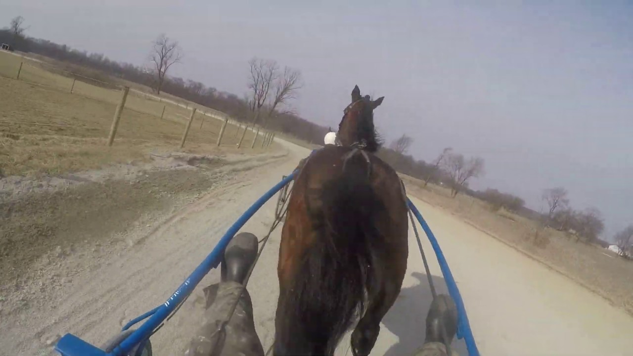 Harness Racing 3-1-19 Training JS - YouTube