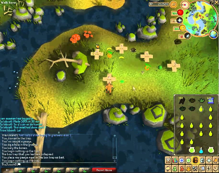 TheJuice401 Runescape Grenwall Spikes. - YouTube