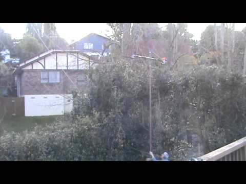 Finshing hedge trim