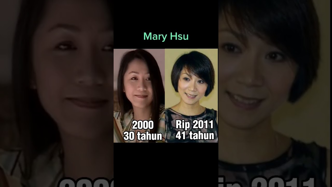 Mary Hsu Meteor Garden