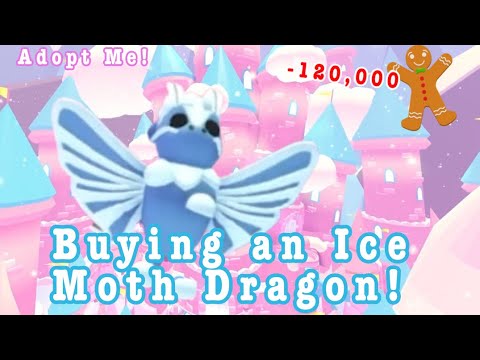 🍪 Buying an Ice Moth Dragon! ️ | Adopt Me! - YouTube