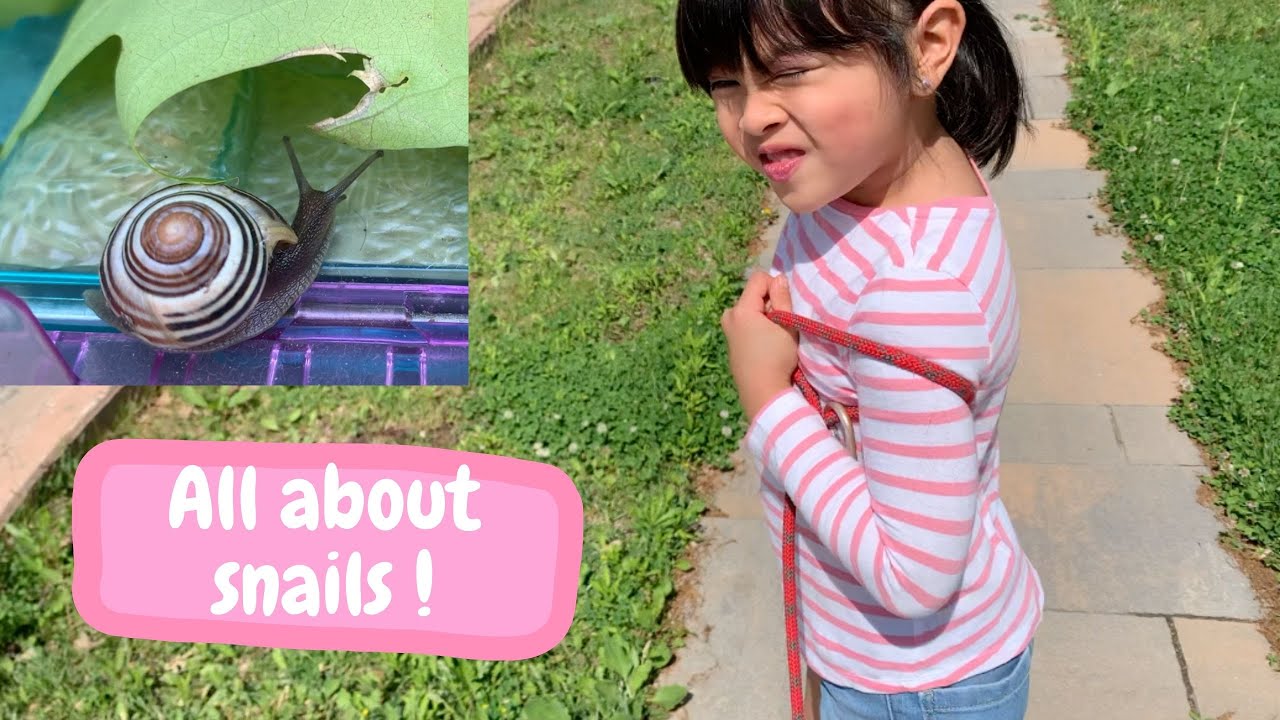 Learn about Snails. Includes Snail Trail Poem and Snail Arts and Crafts ...