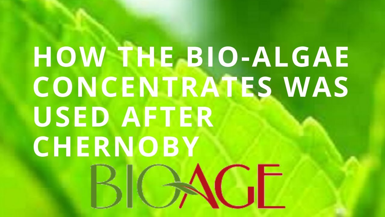 How the Bio-algae Concentrates was Used After Chernobyl| BIOSUPERFOOD ...