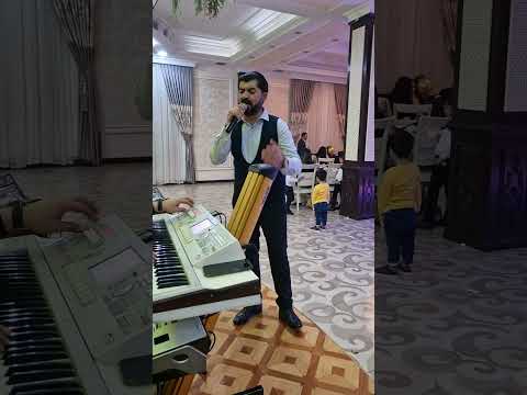 Elnur Qubadlı  Sintez   Kamil Sərməsov   Şahin  Sintez  Bir Məclisdən Xatirələr .