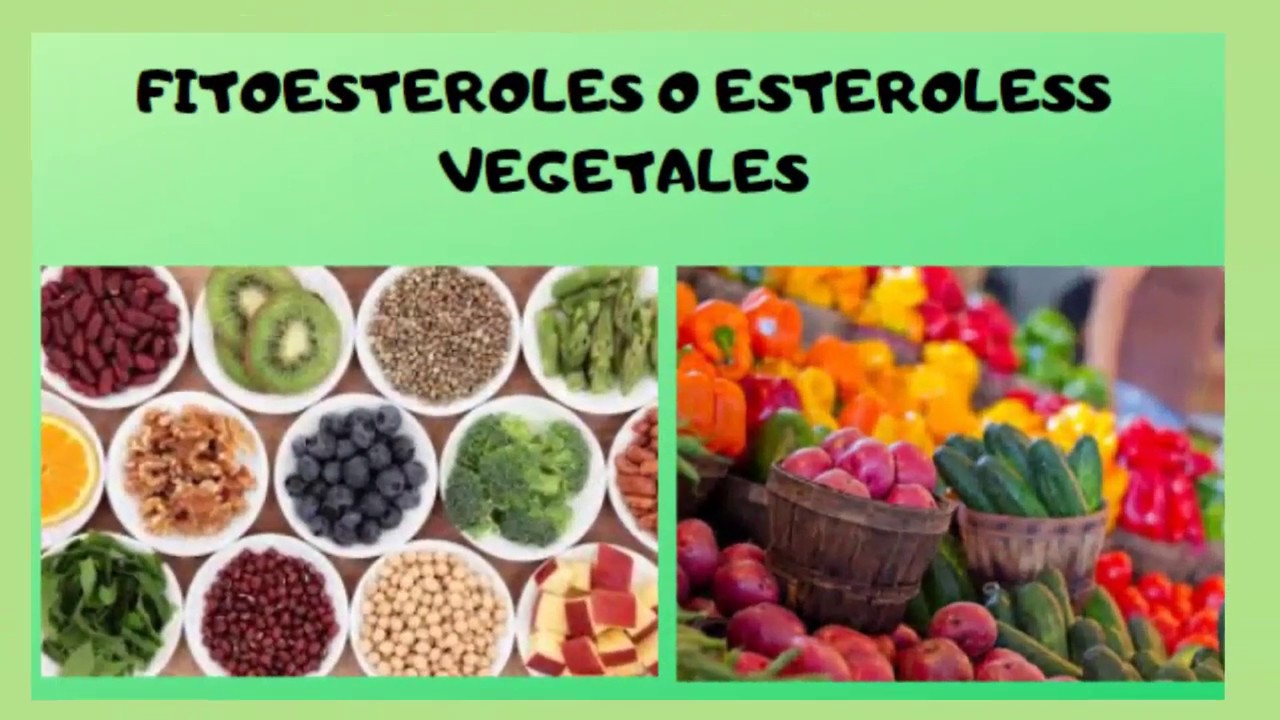 FITOESTROLES O ESTEROLES VEGETALES, qué son y para qué sirven? - YouTube