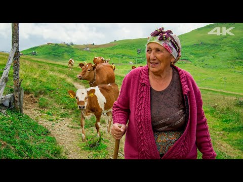 Yaylacı Anne ve Kızları | Belgesel Film