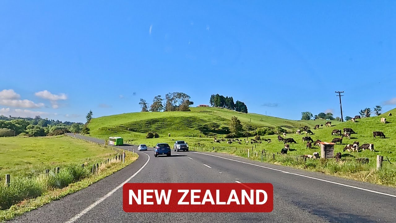 Drive to Waitomo Caves: King Country Scenic Route 4K - YouTube