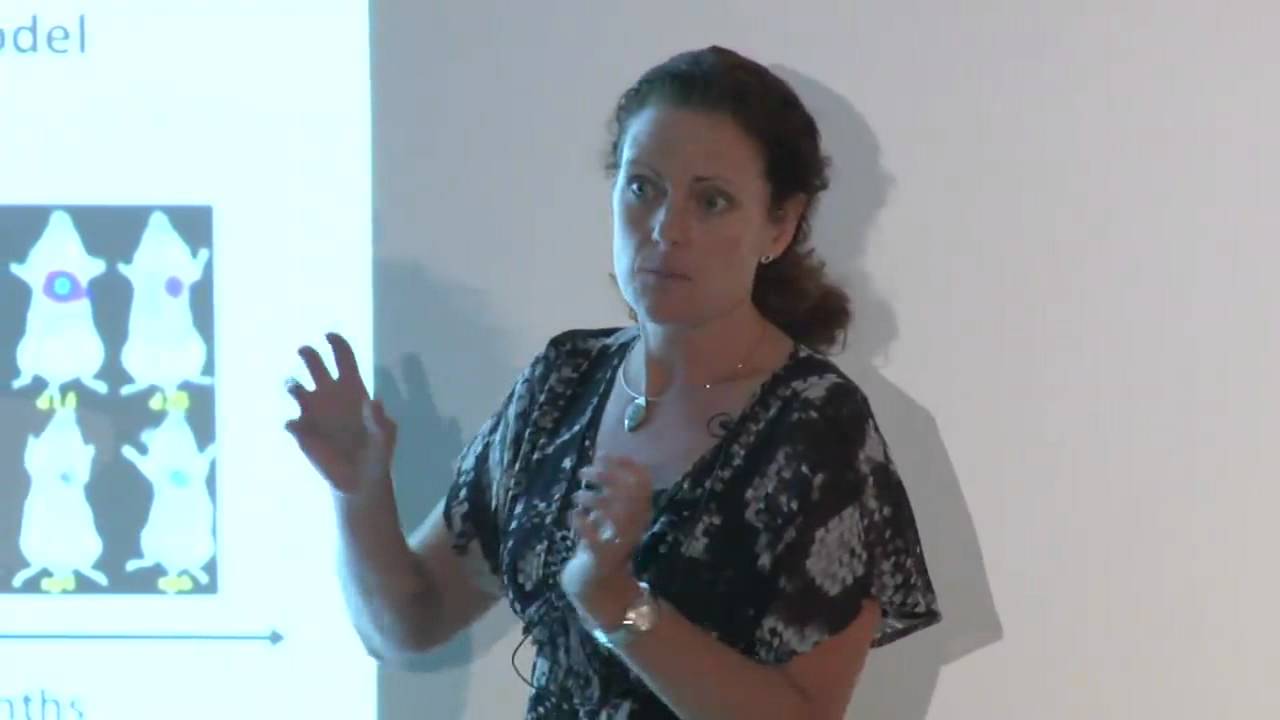 4. Bioengineering Cardiovascular Tools | Mini Med School - YouTube