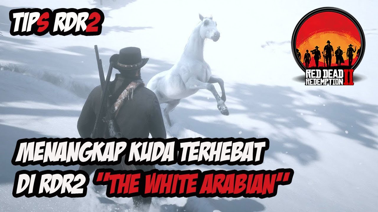 RED DEAD REDEMPTION 2 | MENANGKAP KUDA ARABIAN PUTIH - YouTube