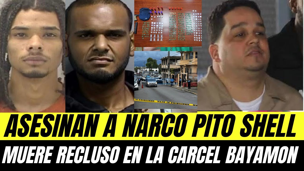 Asesinan al legendario narcotraficante boricua pito shell - YouTube