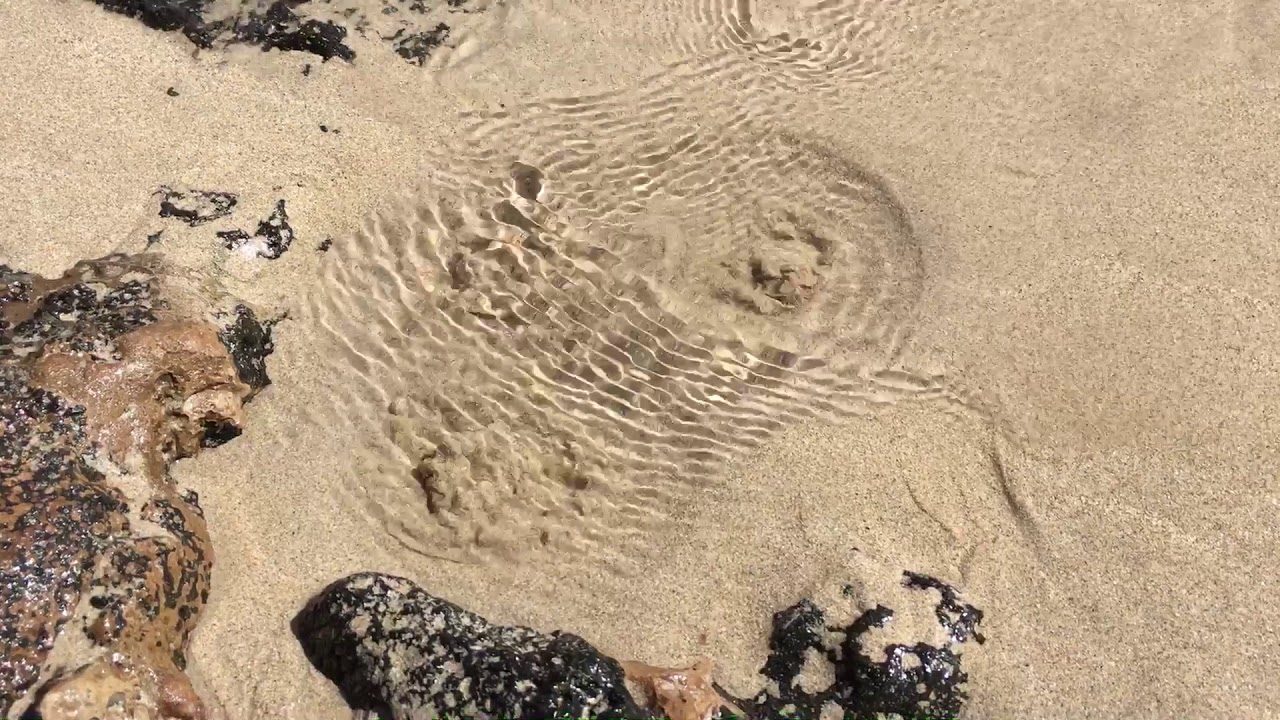 Spring Water in Hapuna Beach - YouTube