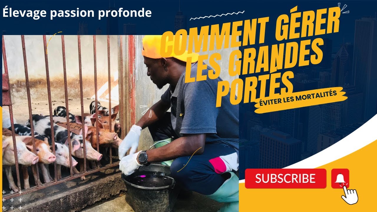 𝐏𝐎𝐑𝐂𝐈𝐂𝐔𝐋𝐓𝐔𝐑𝐄 : 𝐂𝐨𝐦𝐦𝐞𝐧𝐭 𝐠𝐞́𝐫𝐞𝐫 𝐥𝐞𝐬 𝐠𝐫𝐚𝐧𝐝𝐞𝐬 𝐩𝐨𝐫𝐭𝐞́𝐬 𝐞𝐭 𝐩𝐫𝐞́𝐯𝐞𝐧𝐢𝐫 𝐥𝐞𝐬 ...