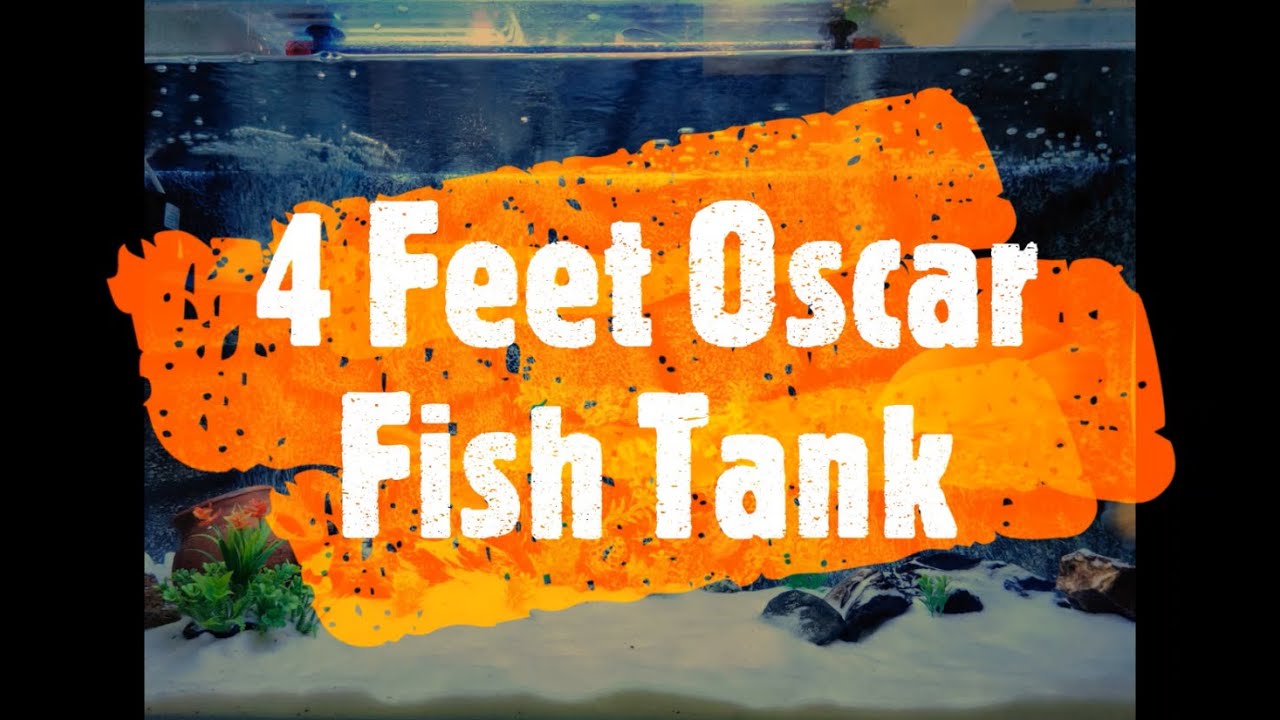 4 Feet Fish Tank | Oscar Fish Tank | Upgraded Aquarium Fish Tank | 3D ...