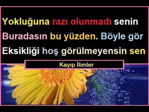 Sahipsiz mi? Sanıyorsun Kendini ! || Kayıp İlimler