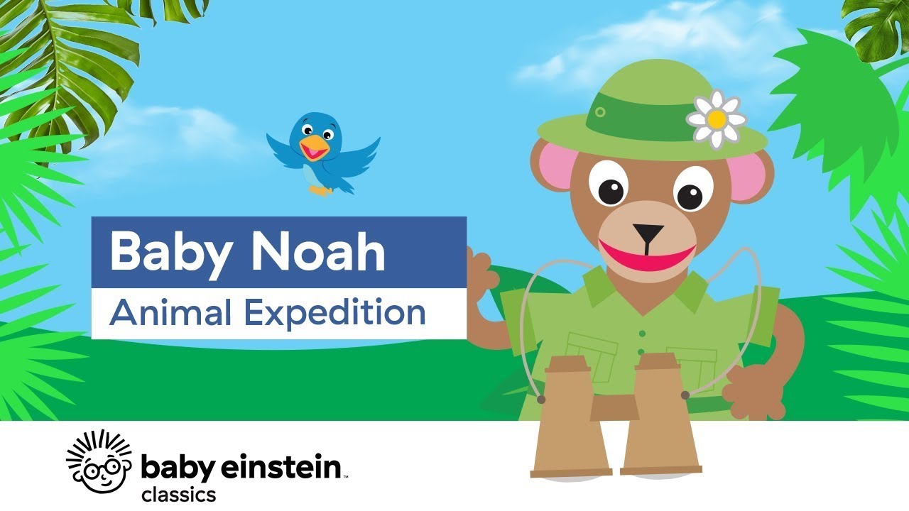 Baby Einstein Baby Noah Discovery Cards (2004) DVD - YouTube