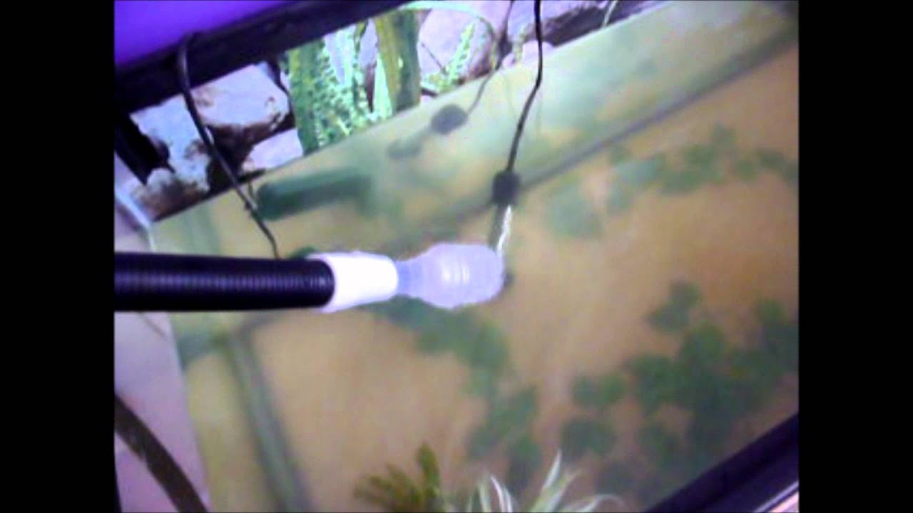 My New Turtle Tank Filter (Fluval 306 Canister) - YouTube