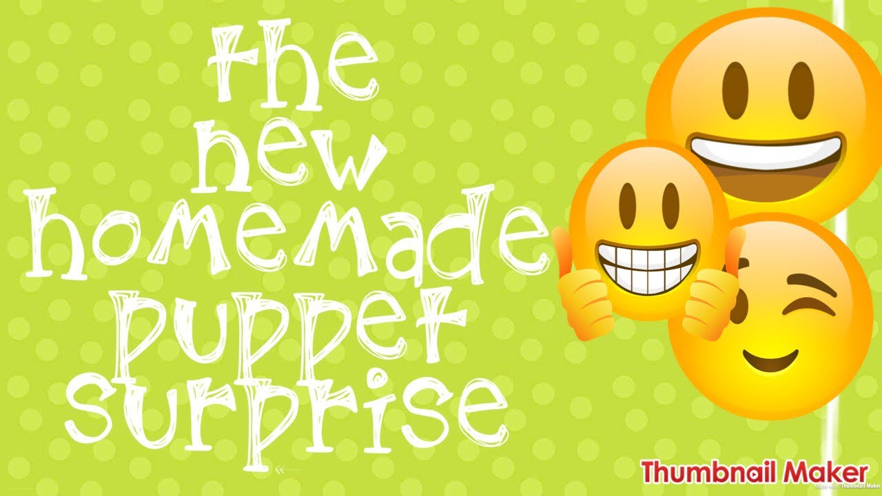 The New Homemade Puppet surprise - YouTube