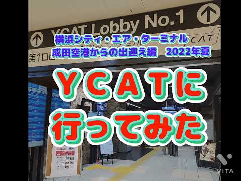 【横浜シティ・エア・ターミナル:YCAT】「出迎えに行って見学してみた:夏編」Yokohama City Air Terminal 横浜スカイ ...
