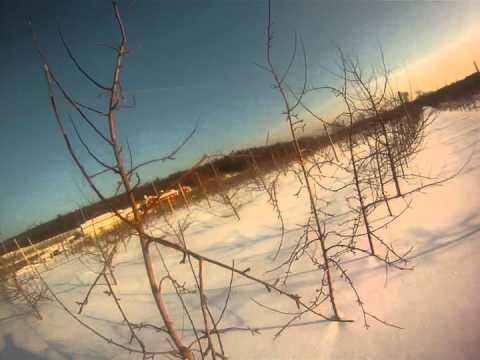 Pruning the Tall Spindle Apple - Take 1 - YouTube