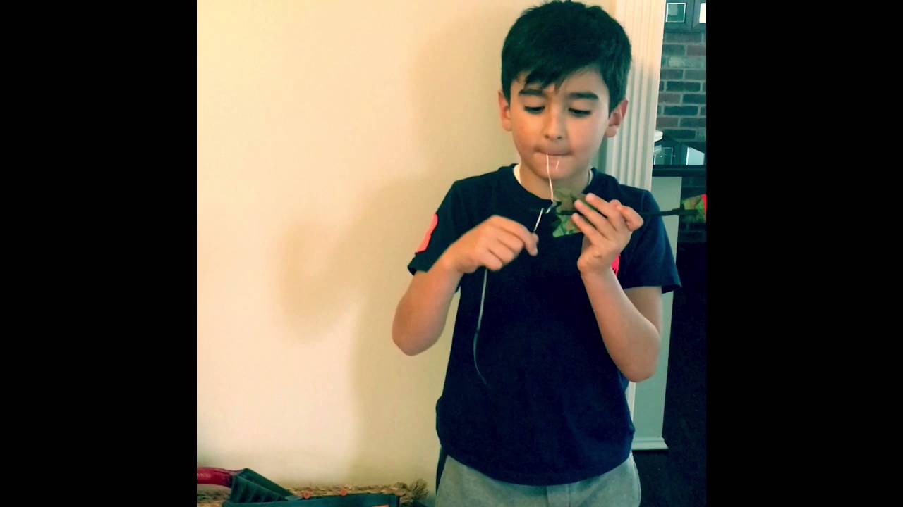 Matthew Agudelo - YouTube