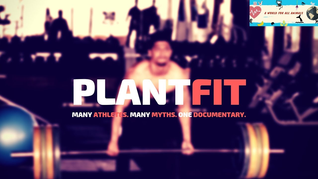 Plant Fit Documentary Trailer - YouTube