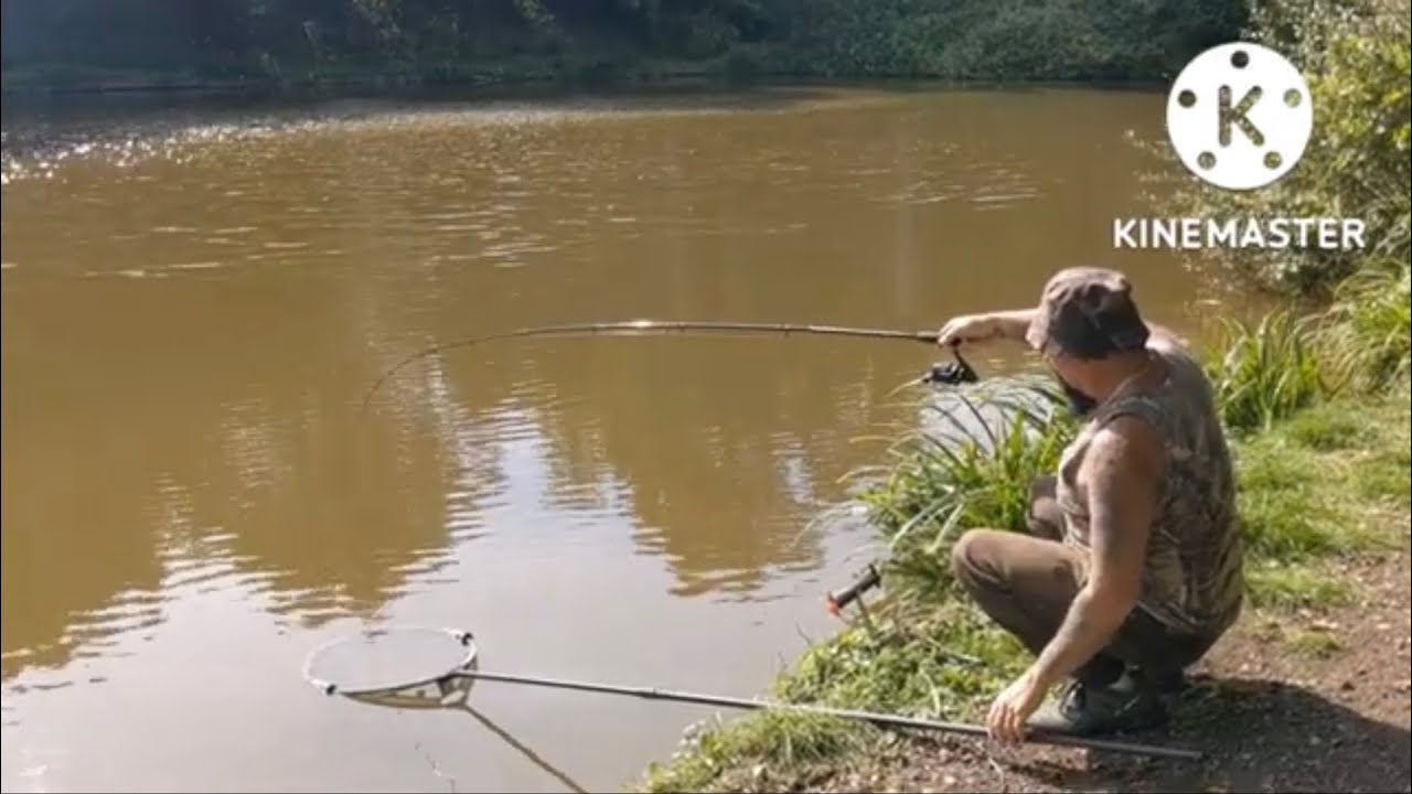 float fishing Vs feeder fishing.. - YouTube