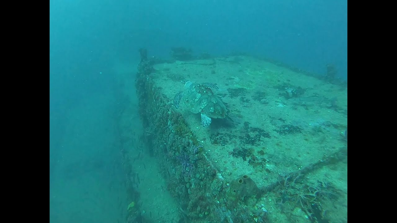 Dive 42 - USCGC Duane - YouTube