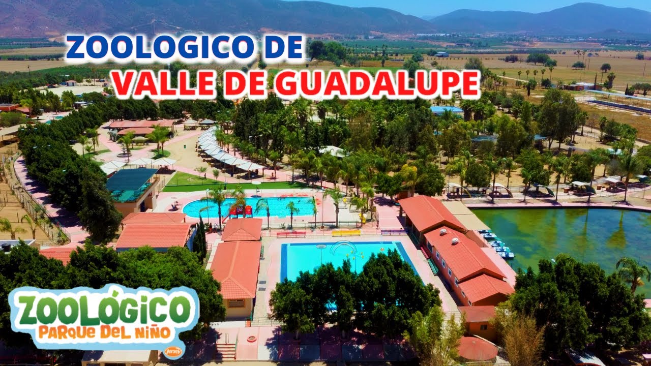 Zoologico Parque Del Niño Jersey 2022 | Baja California | De Aventuras ...