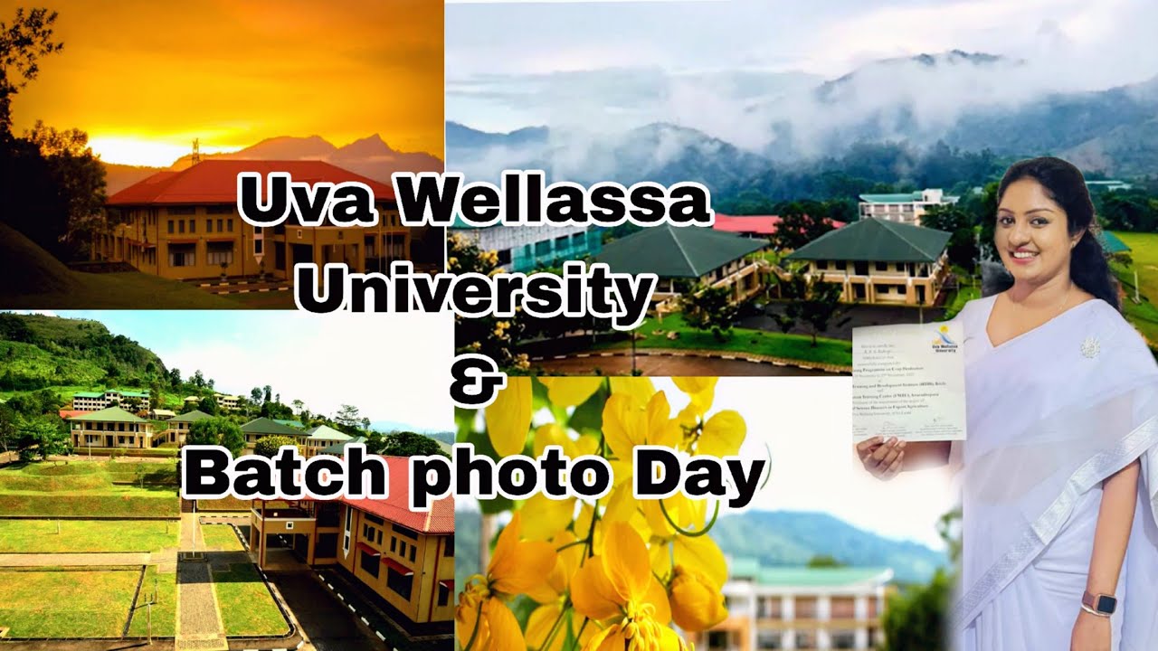Uva Wellassa University & Batch Photo Day👩‍🎓😍 #uvawellassauniversity # ...