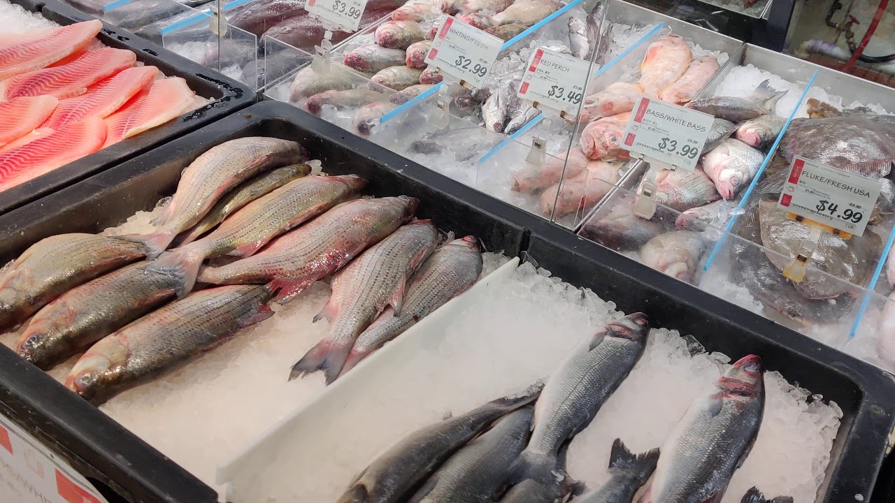 American Fish Market - YouTube