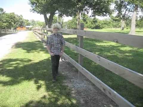 The Great Adventure on Saddle Ridge Ranch - YouTube