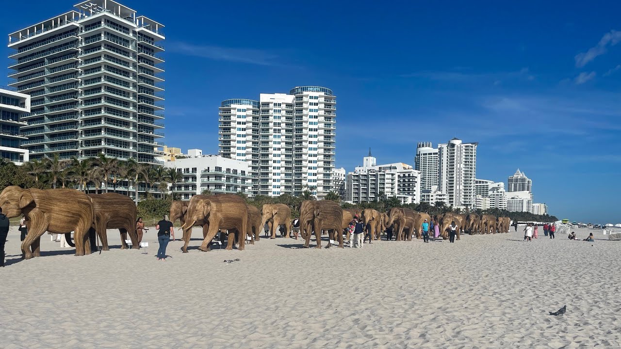 The Great Elephant Migration @ Miami Beach on Dec 5, 2024 - YouTube
