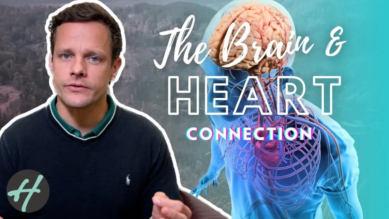 The Heart & Brain Connections: Structural, Neurologic and Circulatory ...