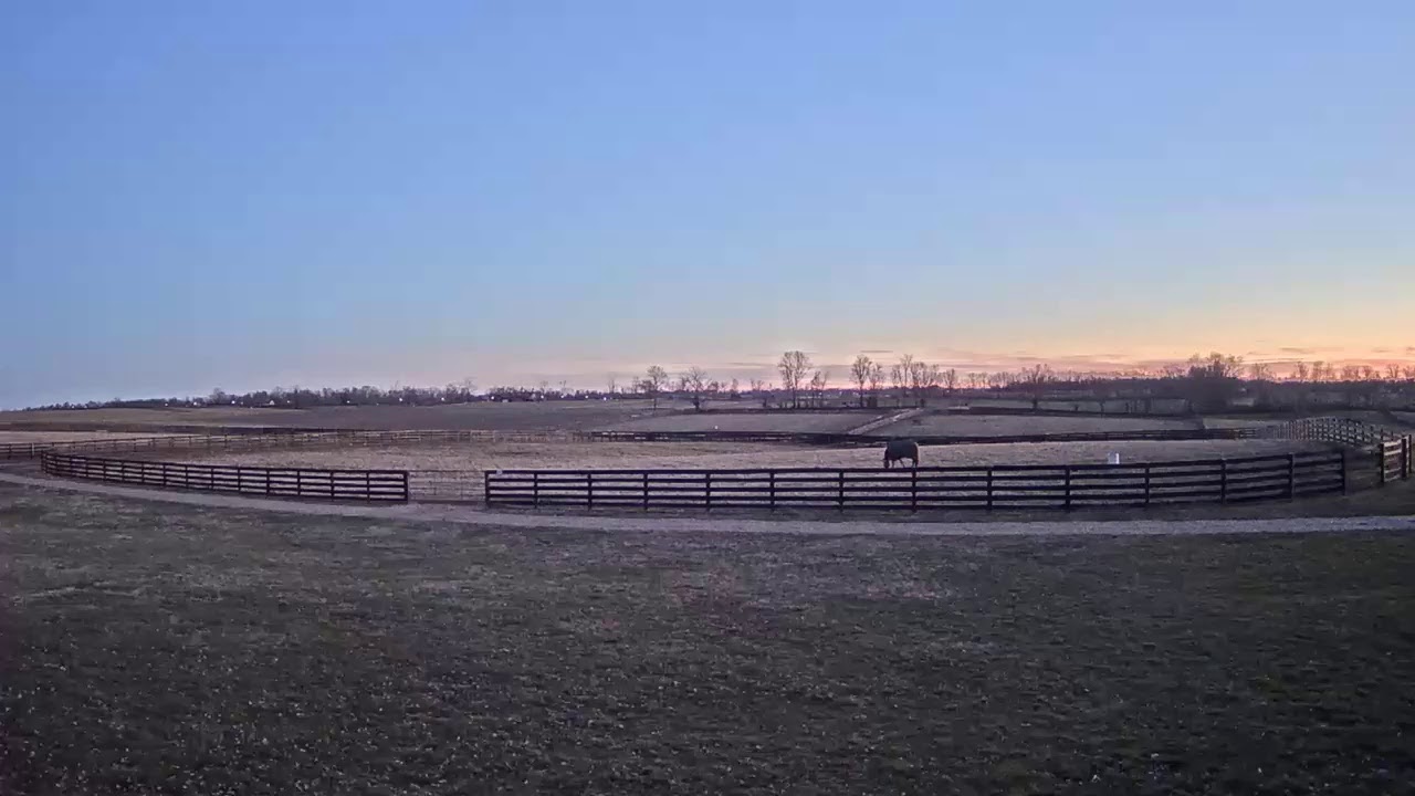 Gun Runner Paddock - YouTube