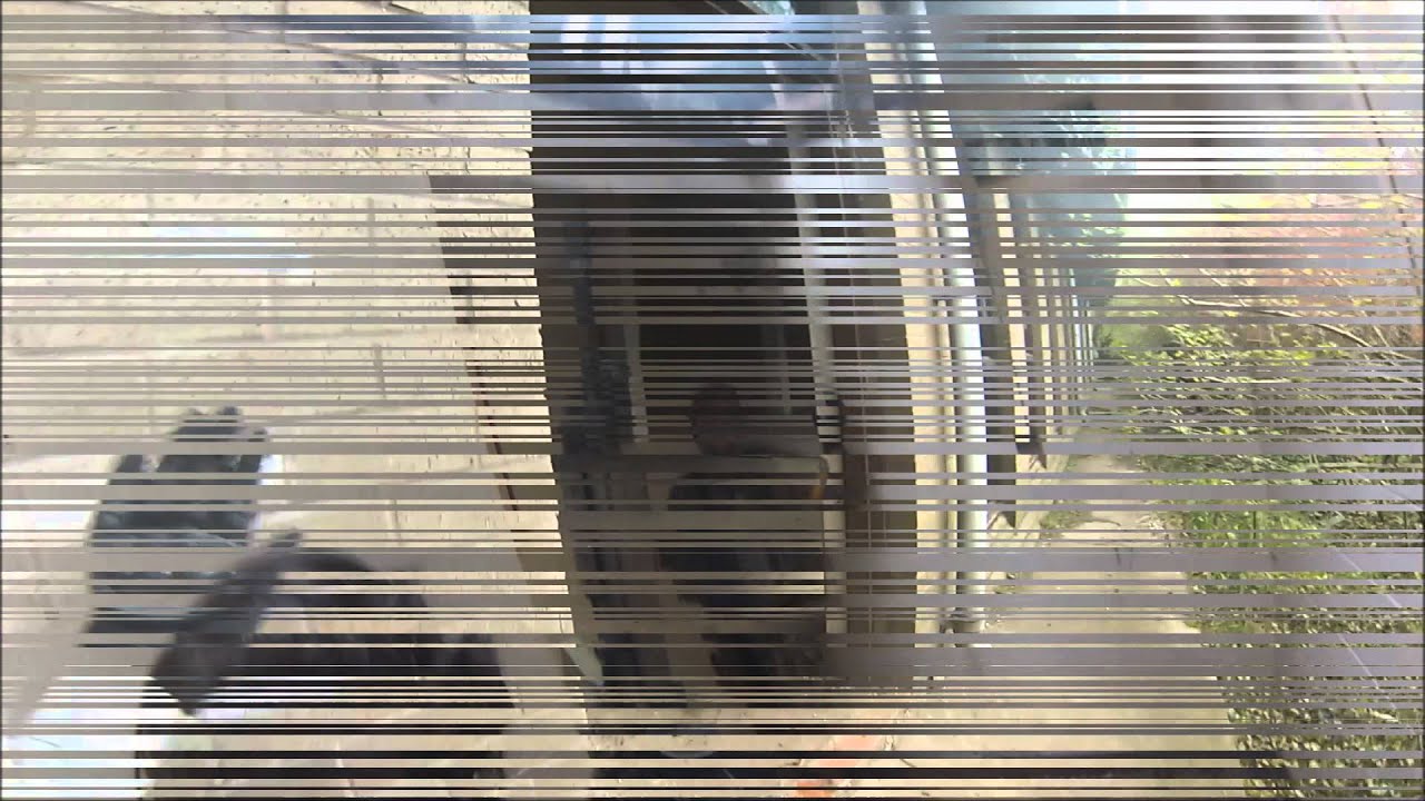 LoS | Airsoft @ Anzio Camp, Leek, Staffordshire - 26.04.14 - YouTube