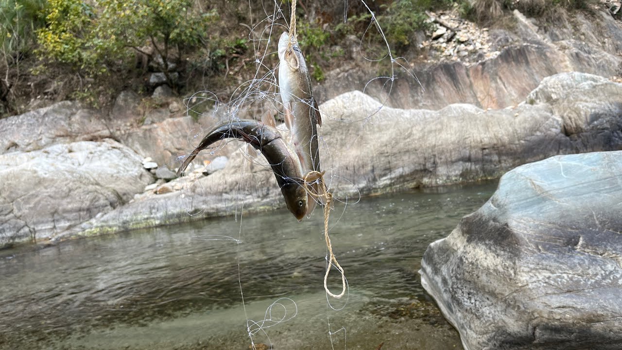 Himalayan trout Fishing in River Side @Fishing.Tube1 @ProductionC - YouTube