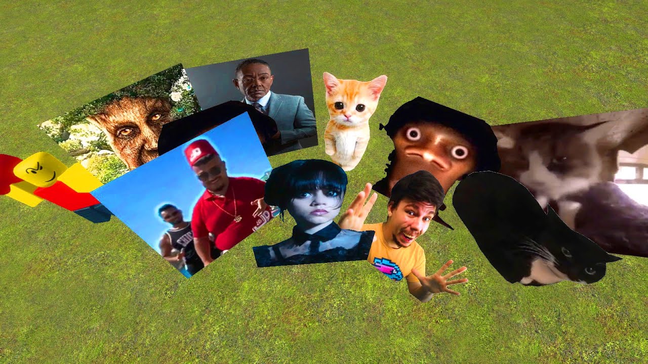 Cat 64, Maxwell cat, Auugh, Mr Beast, El gato, Wednsday, Gustavo ...
