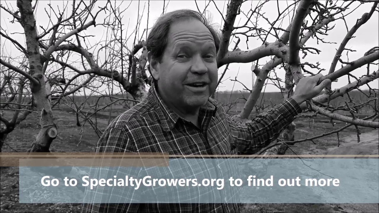 Randy Graham ISGA Promo - YouTube