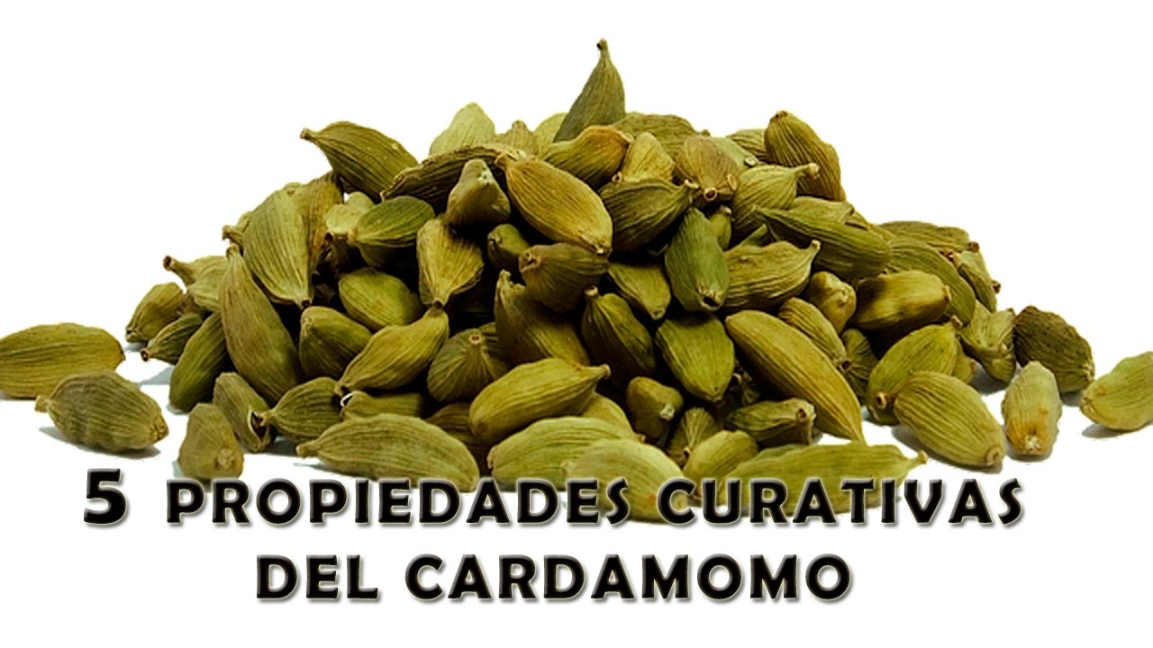 5 Propiedades Curativas del Cardamomo - YouTube