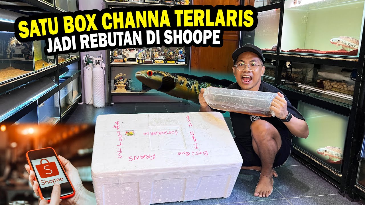 APA INI?? UNBOXING CHANNA 1 BOX PALING LARIS DI SHOOPE BOS BOS QU?? - YouTube