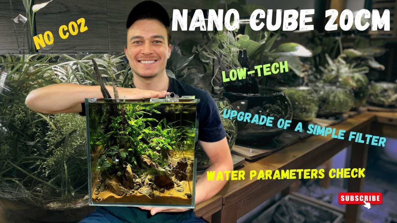 [AI VOICE] NANO CUBE 20см DRAGON | UPGRADE OF A SIMPLE FILTER | WATER ...