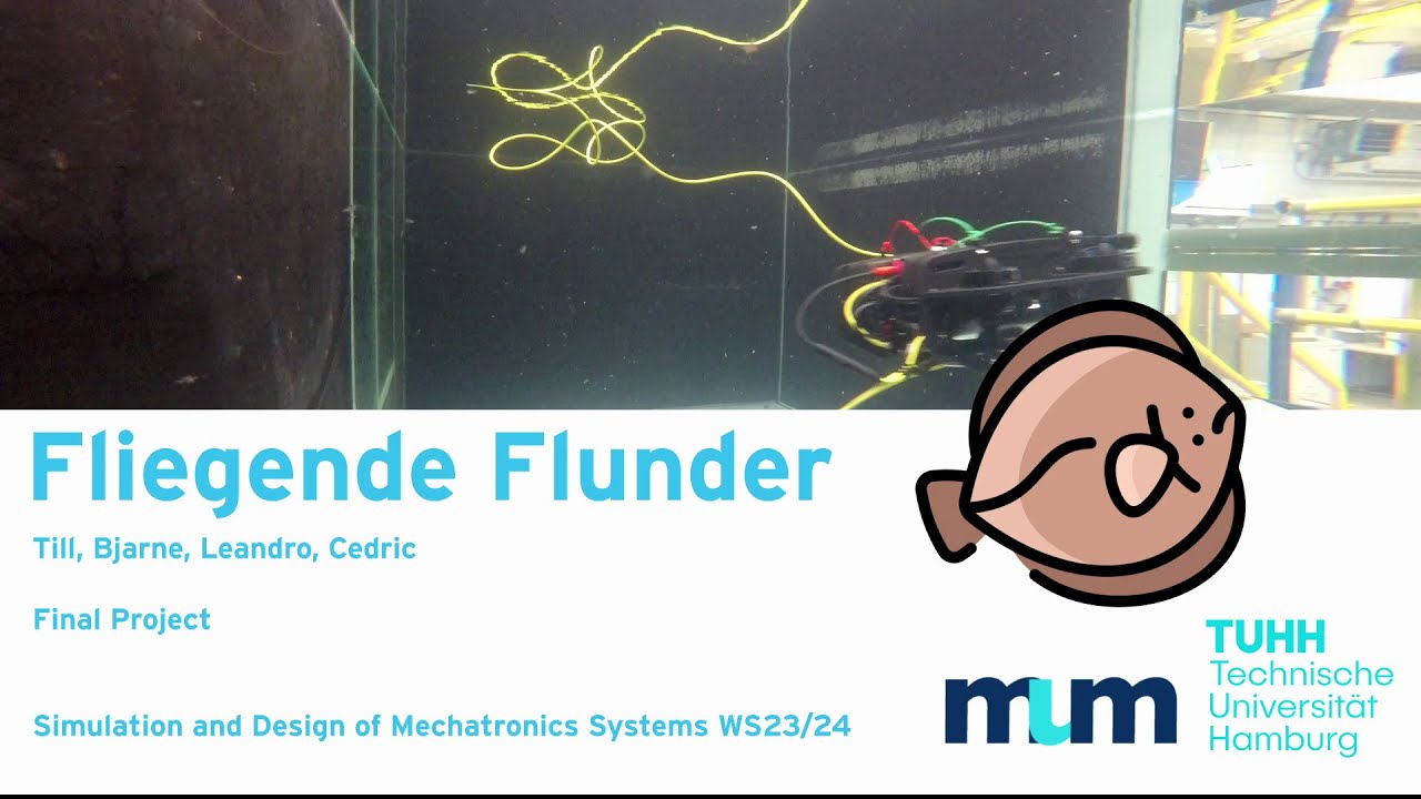TUHH - Class Formulas and Vehicles/SEMS 2024 - Final Project Group 1 ...