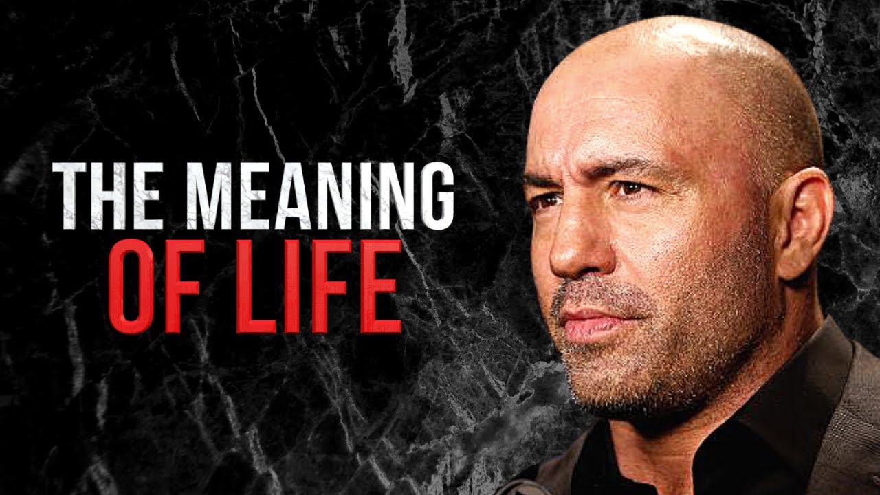 JOE ROGAN ON THE MEANING OF LIFE - YouTube