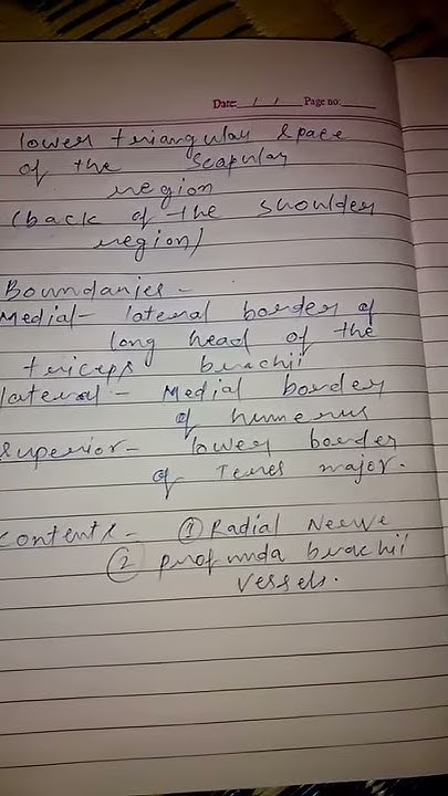 Lower triangular space of the scapular region - YouTube