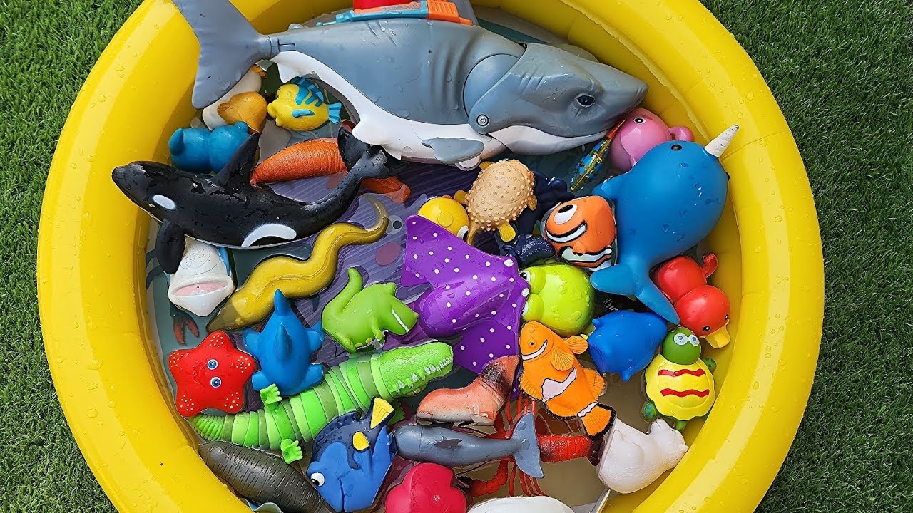 OCEAN ANIMALS TOYS FOR PRE SCHOOLERS|LEARN SEA ANIMAL FUN FACTS - YouTube